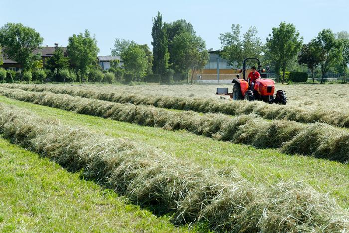 SAME Tiger 65 Technische Daten des Allradtraktors (2009 - 2018 ...