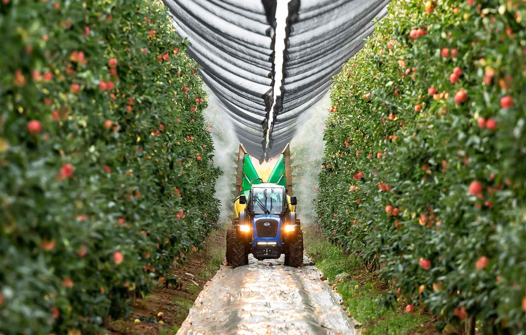 BCS Eagle 85 RS SDT Technische Daten des Allradtraktors (2023 - 2025) | LECTURA Specs