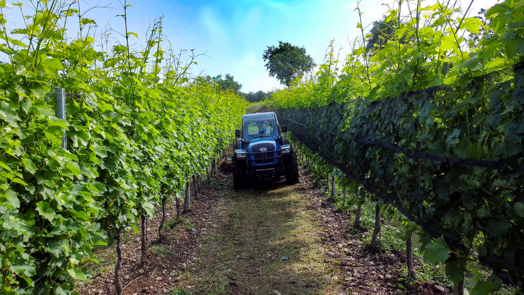 BCS Fighter 85 RS SDT Technische Daten des Allradtraktors (2023 - 2025) | LECTURA Specs