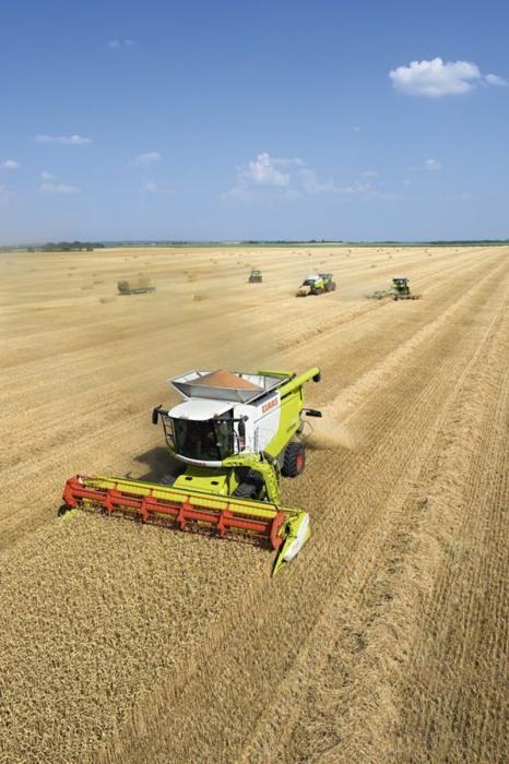 Claas Lexion 650 Technische Daten, Datenblätter (2012-2016) | LECTURA Specs