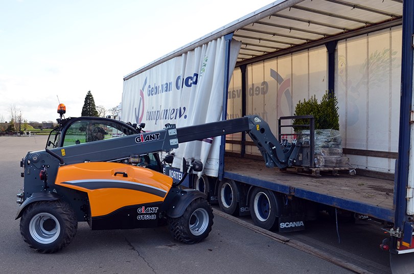 Giant GT5048 Technische Daten, Datenblätter (2020-2025) | LECTURA Specs